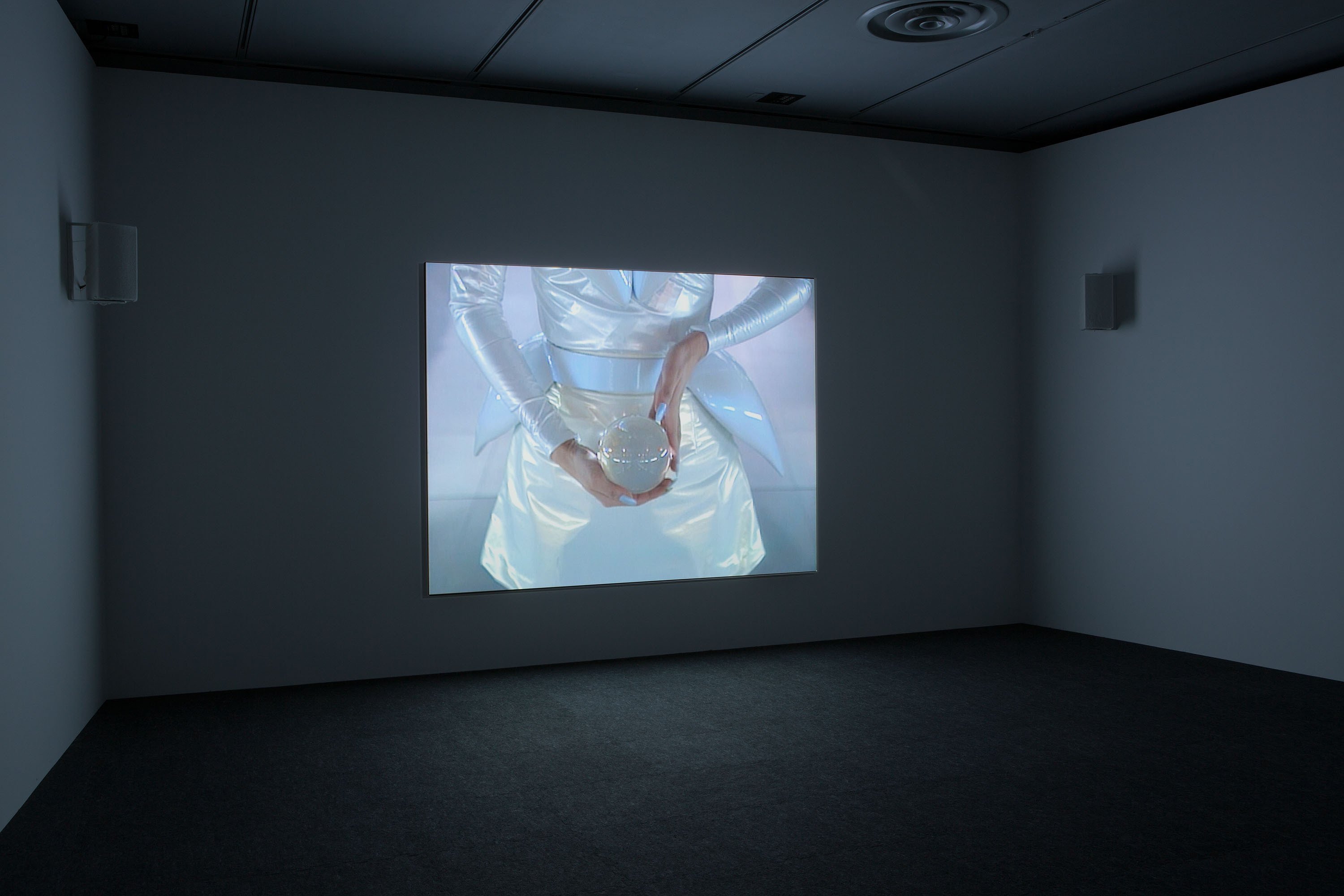 Mariko Mori: Miko No Inori | The Art Institute of Chicago