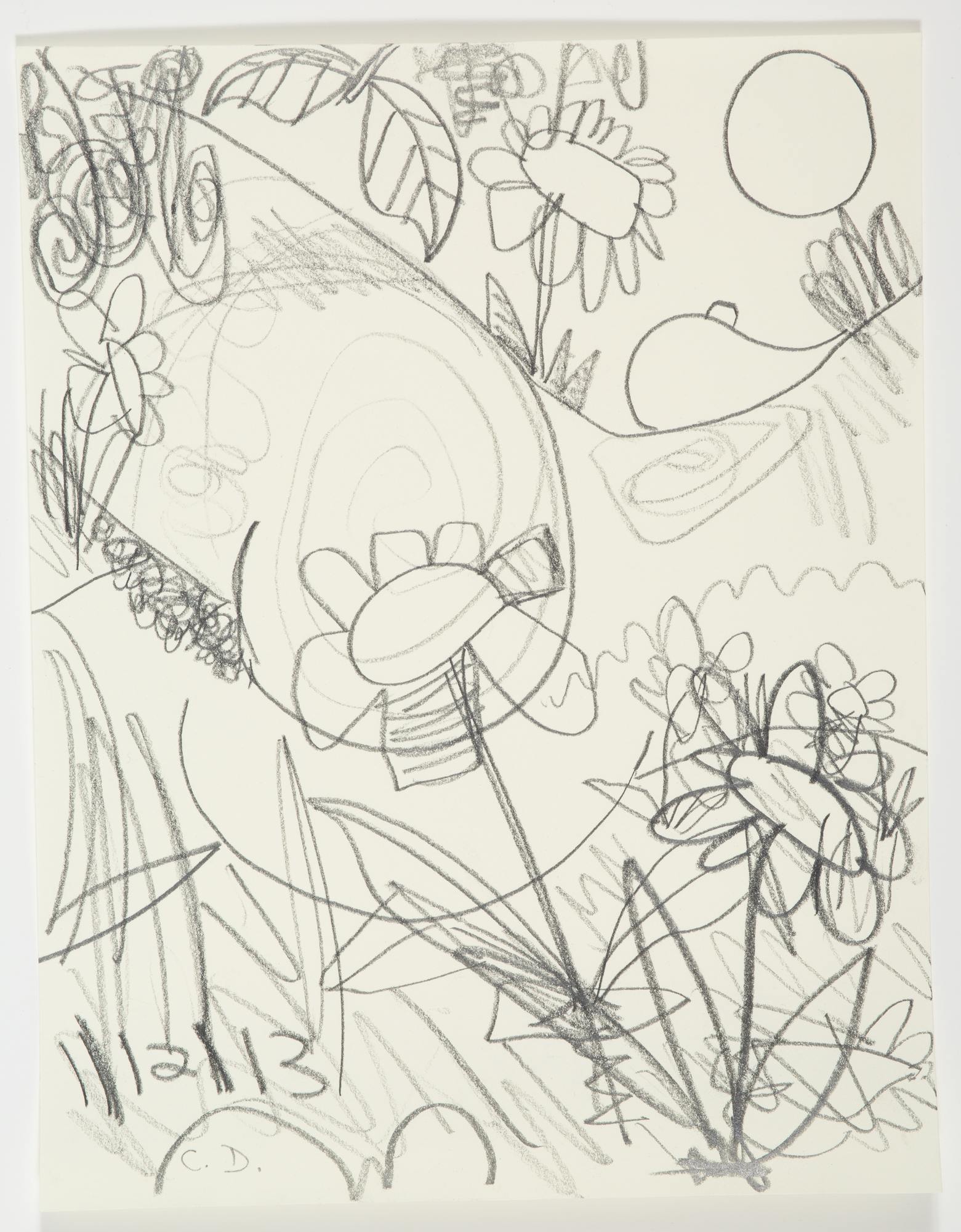 Artist Conversation: Carroll Dunham | The Art Institute of Chicago